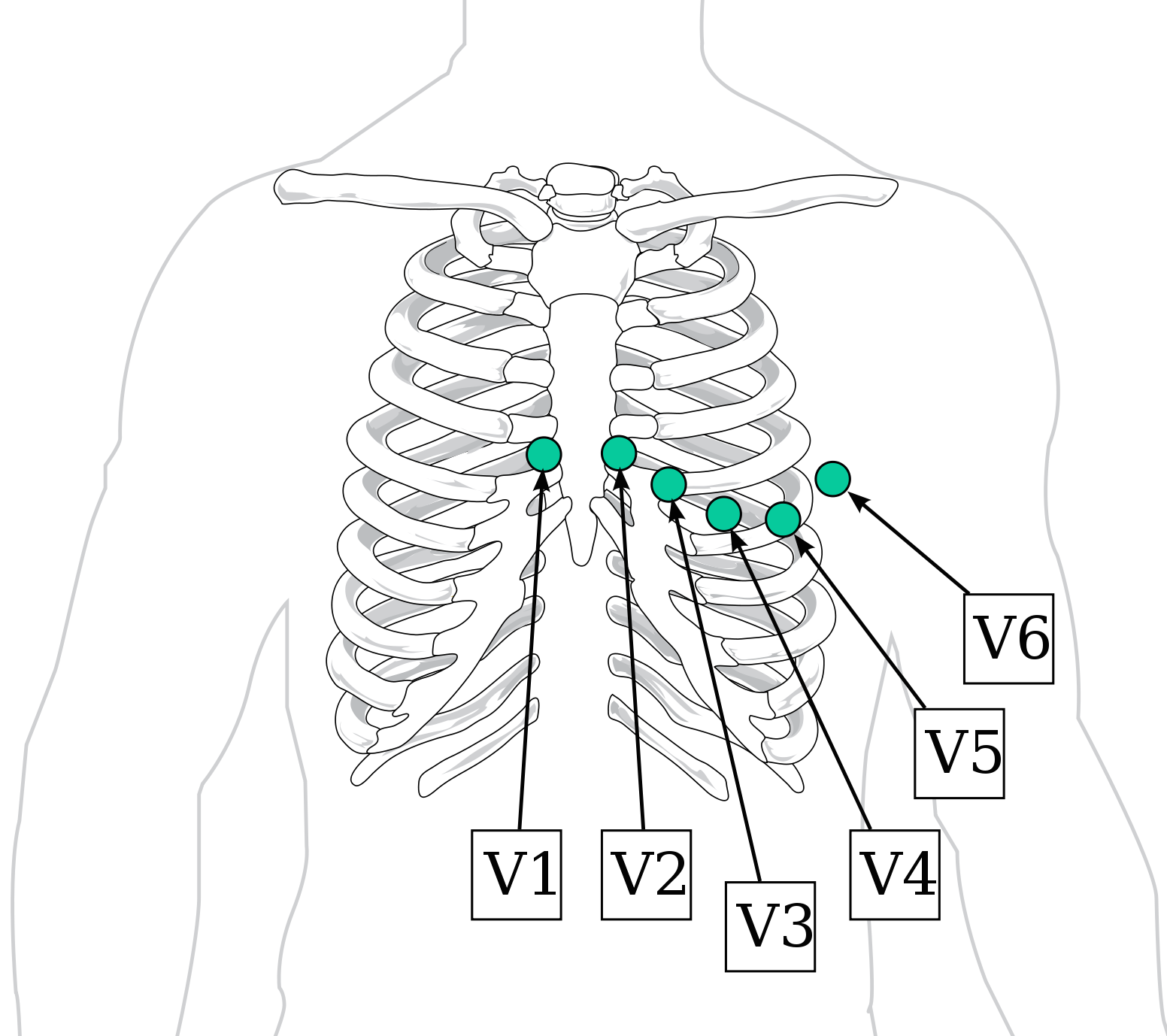V1 V2 V3 V4 V5 V6 Ecg RETOEDU V1 V2 V3 V4 V5 V6 Ecg RETOEDU