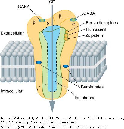[복약지도-50] 플루닐주사 (Flumazenil) Flunil injection 플루마제닐 BDZ해독제/벤조디아제핀계 약물 ...